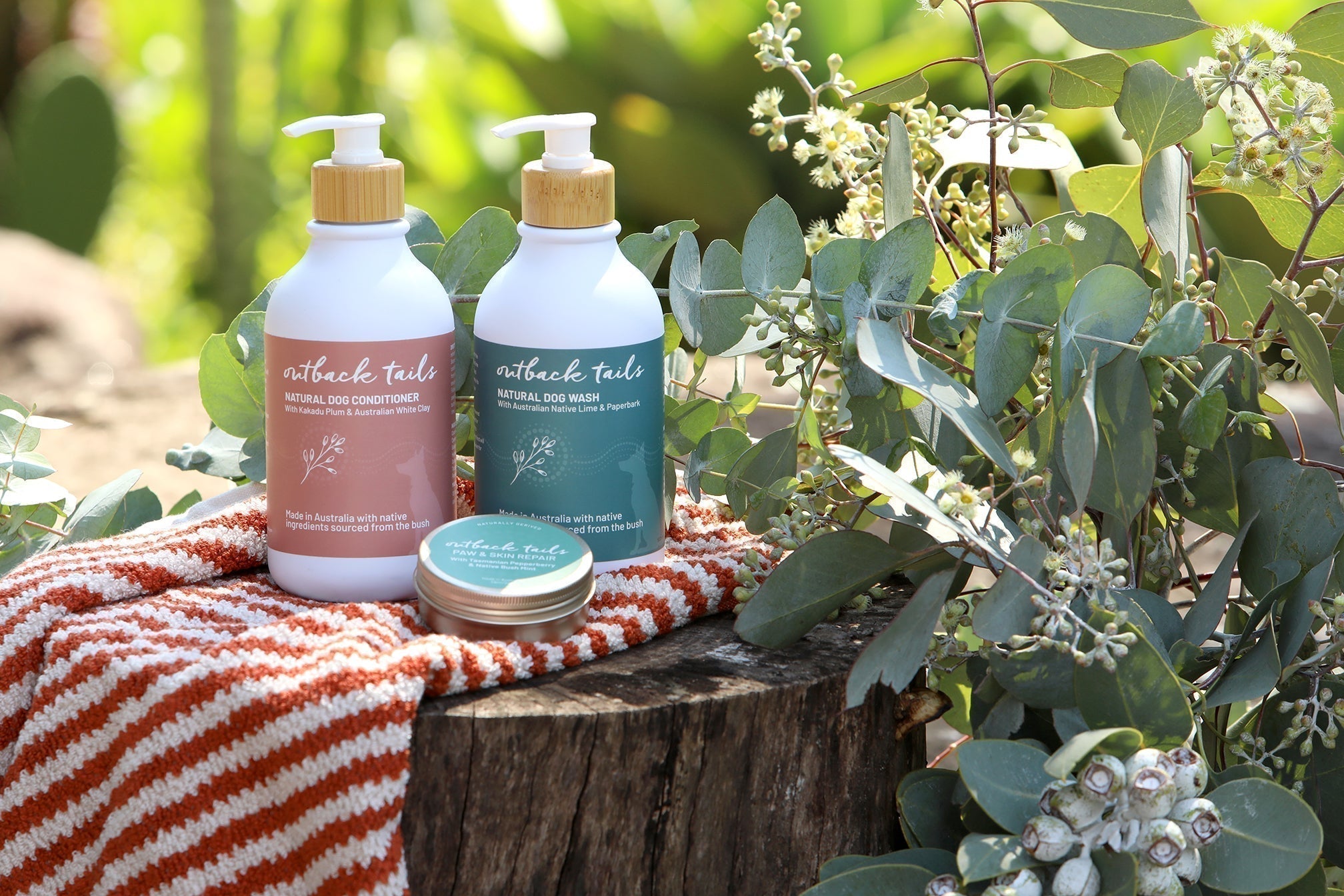 Why Grooming Matters With Outback Tails