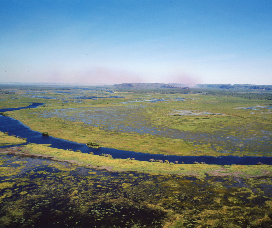 Celebrating World Habitat Day – Outback Tails