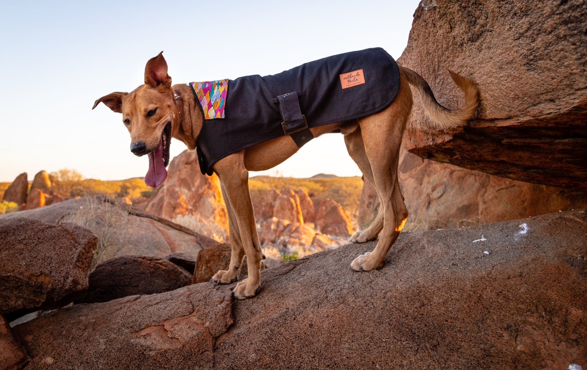 Sign Up for 10% Off | Outback Tails