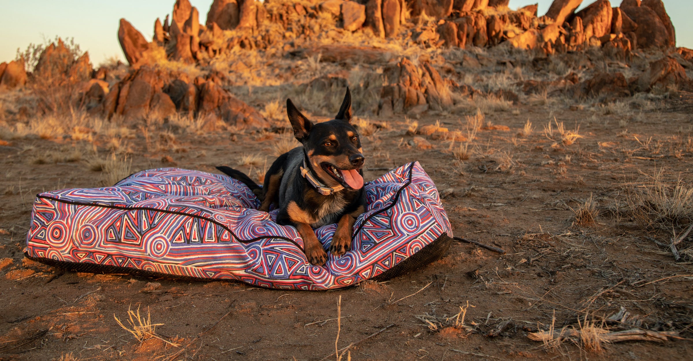 About Us – Outback Tails
