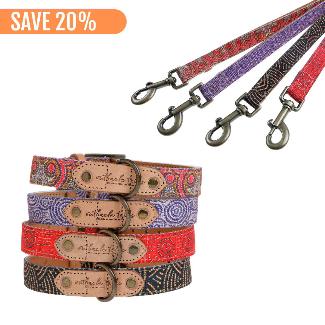 Leather Collar & Lead Bundle – Outback Tails