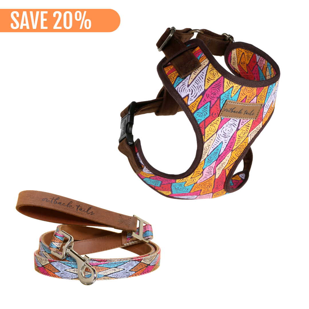 Harness & Lead Bundle – Outback Tails