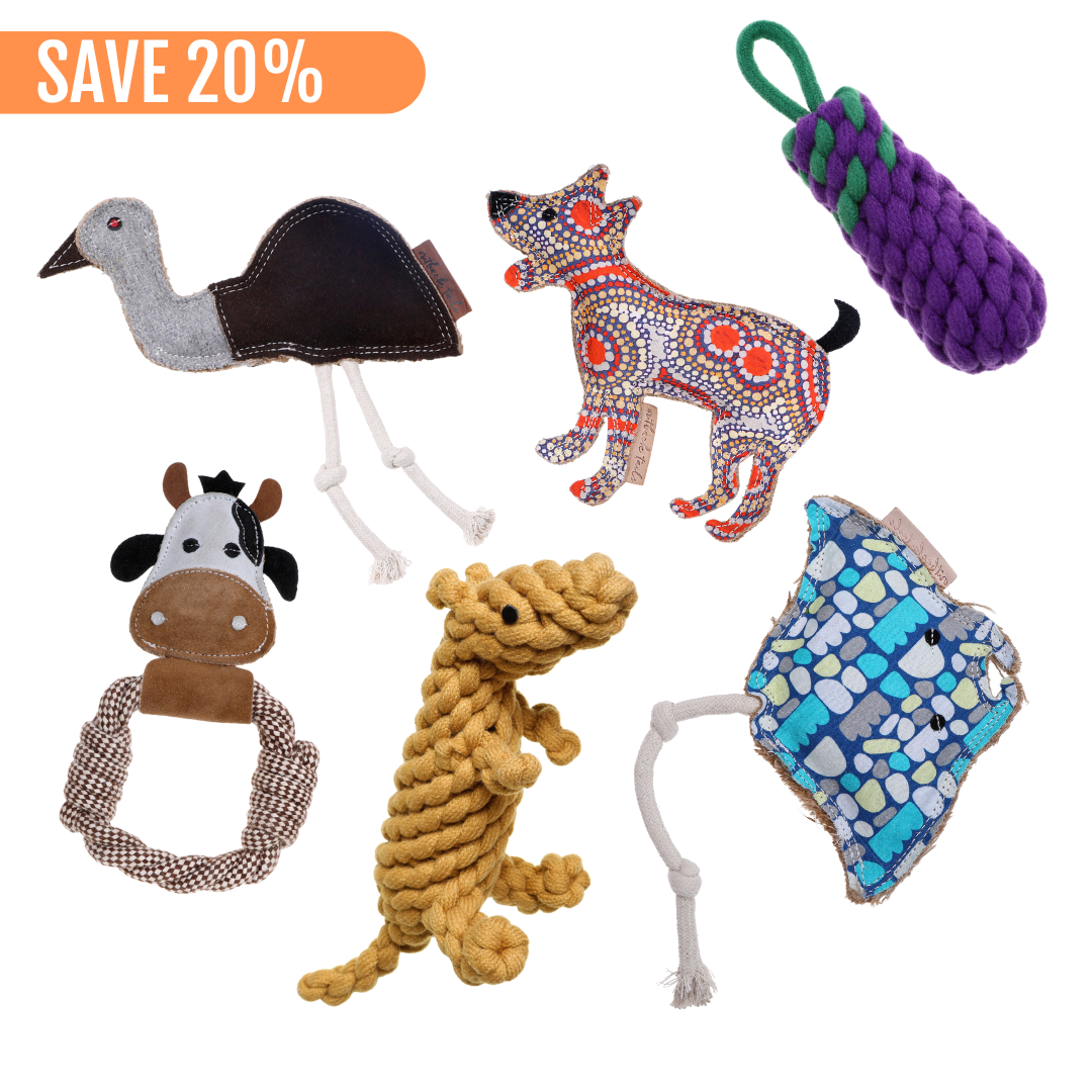 Playtime Dog Toys Bundle | Outback Tails